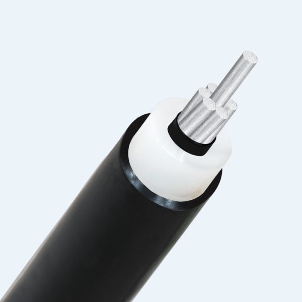 Cap sTrung thế ACXV-WBS 12/20 (24)kV or 12.7/22 (24)kV